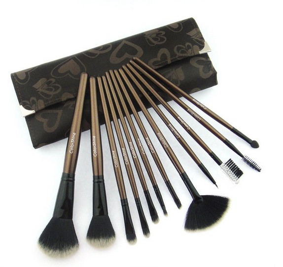 Colorshine High Quality 12 Pcs Makeup Brushes Cosmetic Brush Set ...