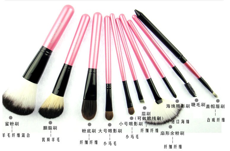 Colorshine 10 Cosmetic Brush Set Professional Make-up Tools Makeup ...