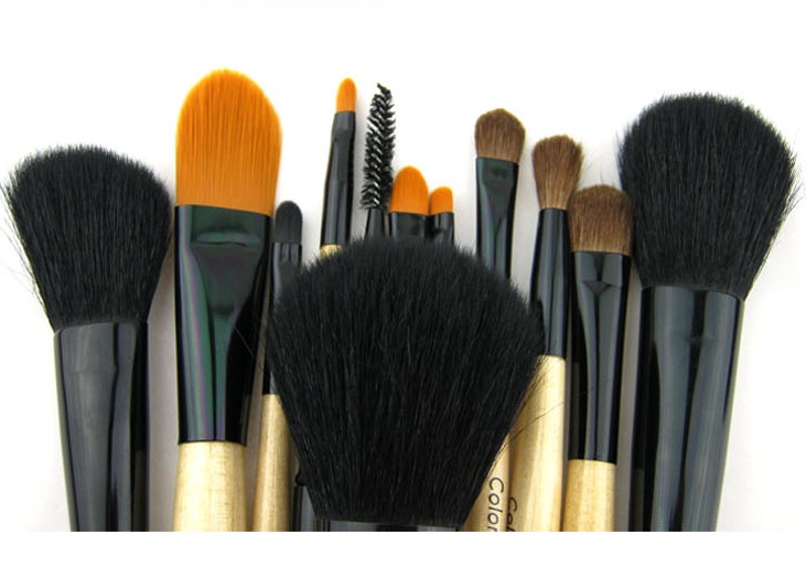 High Quality Makeup Brush Set Colorshine 12 Cosmetic Brush Set ...